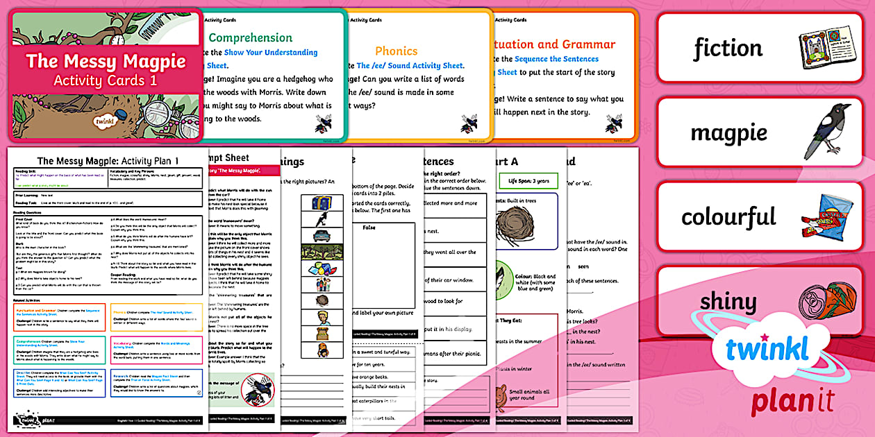 The Messy Magpie Year 1 Reading Lesson | Twinkl PlanIt