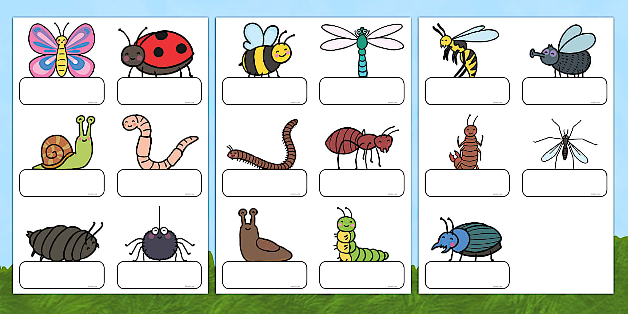 Editable Self-Registration Labels (Minibeasts) - Twinkl