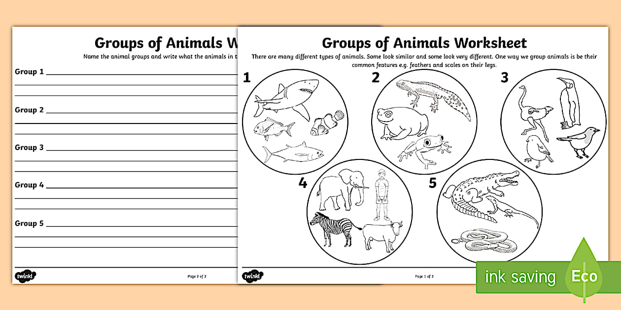 Animal Groups Worksheet - Animals Worksheet - Twinkl