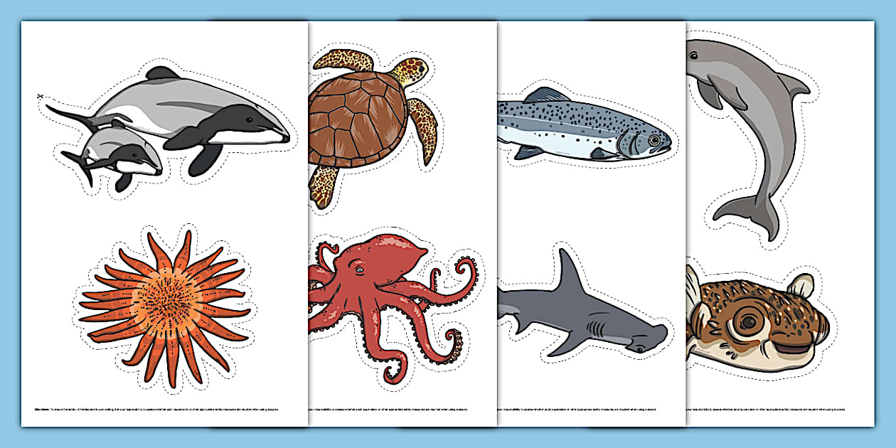 Under the Sea Cut-Outs (teacher made) - Twinkl