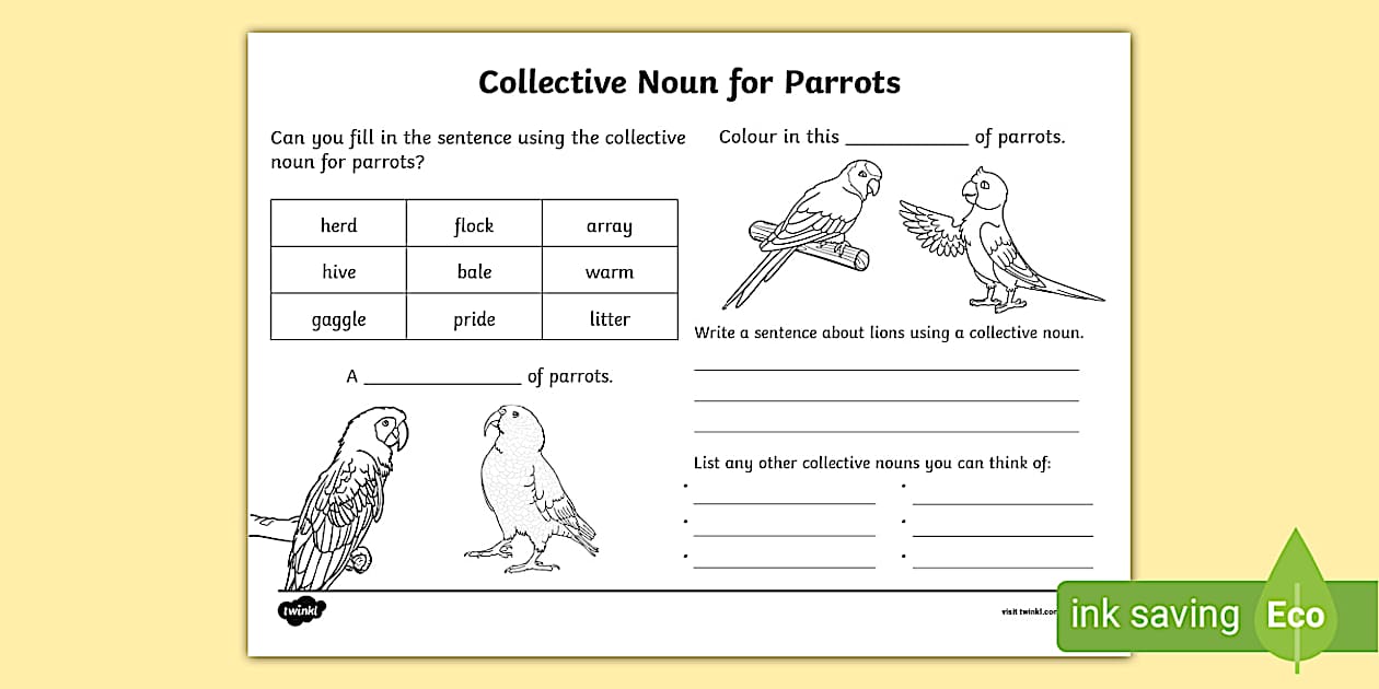 Collective Nouns - Parrots Worksheet (teacher made) - Twinkl