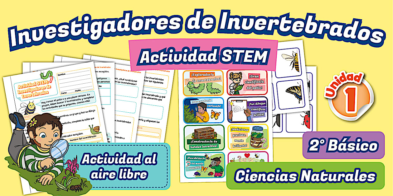 Investigadores de Invertebrados | Actividad STEM | Ciencias