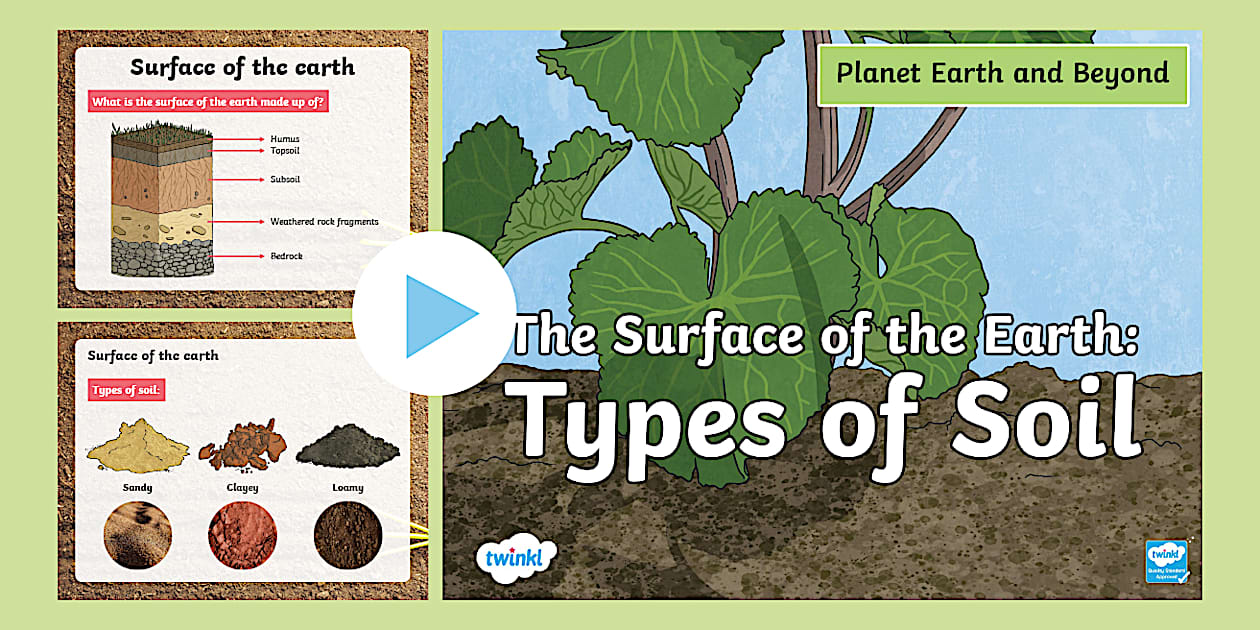 Surface of the Earth: Soil Types: PowerPoint Presentation
