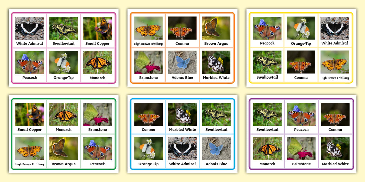 Butterfly Bingo Game