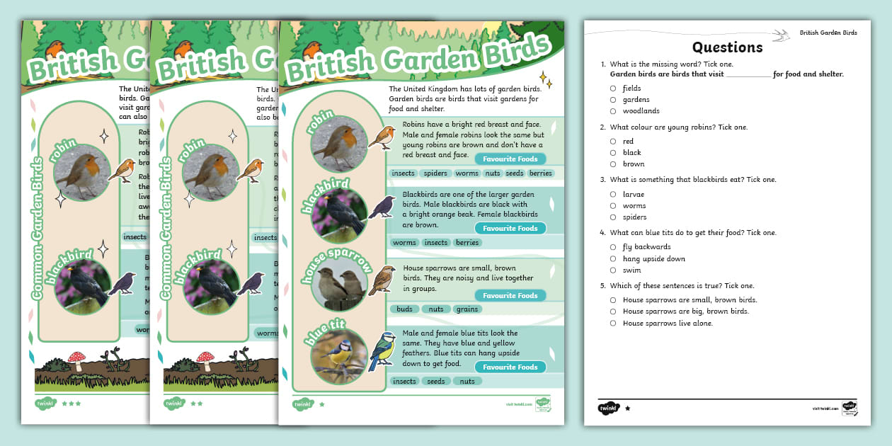 KS1 British Garden Birds Differentiated Reading Comprehension Activity