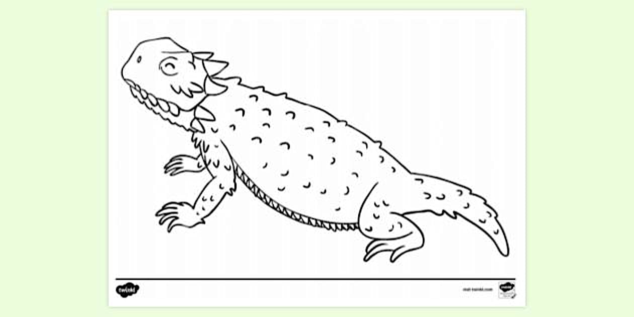 Desert Horned Lizard Colouring Sheet | Colouring Sheets