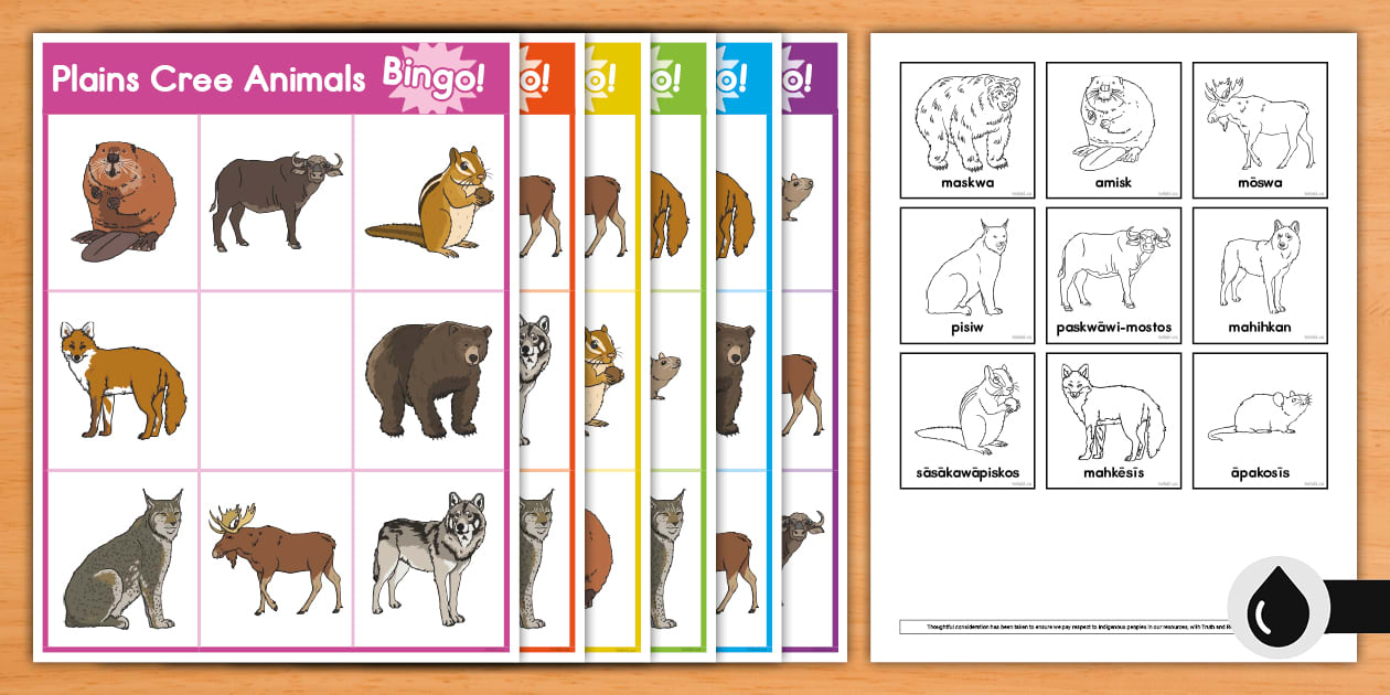 FREE! - Learning Animal Names in Plains Cree (Bingo)