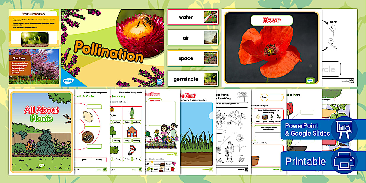 All About Plants Science Learning Center Activity Pack