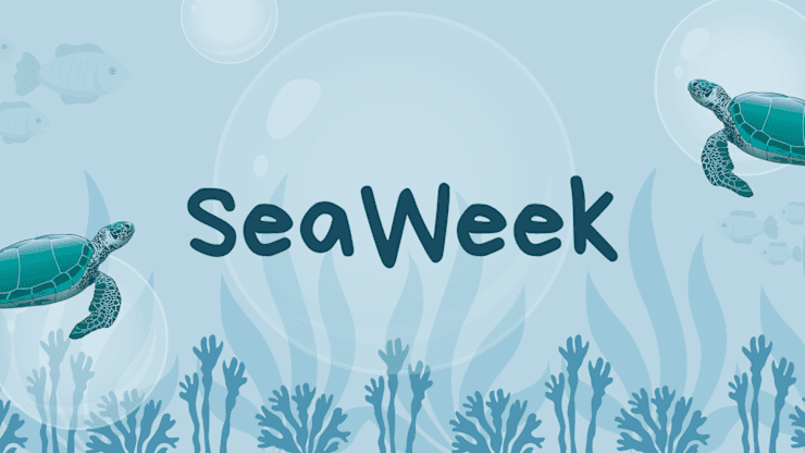 SeaWeek 2026 Australia | Marine Education & Ocean Awareness