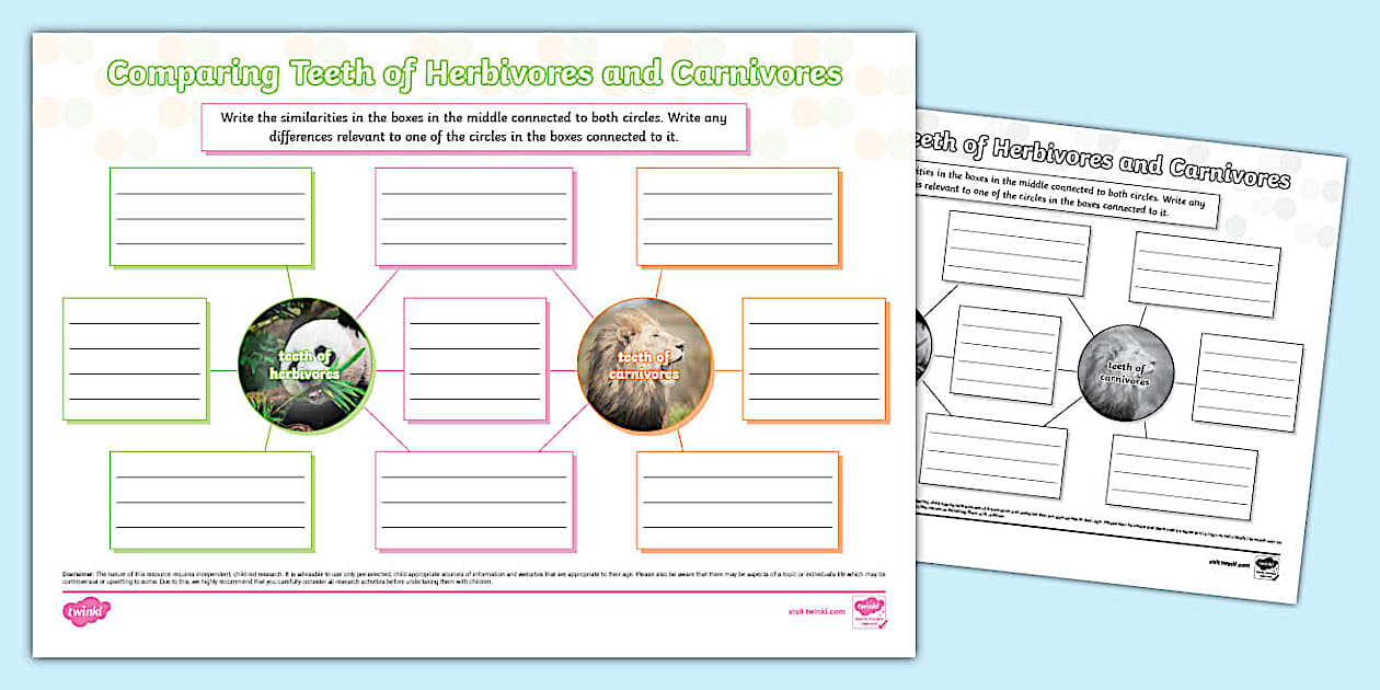 Comparing Teeth of Herbivores and Carnivores Mind Map