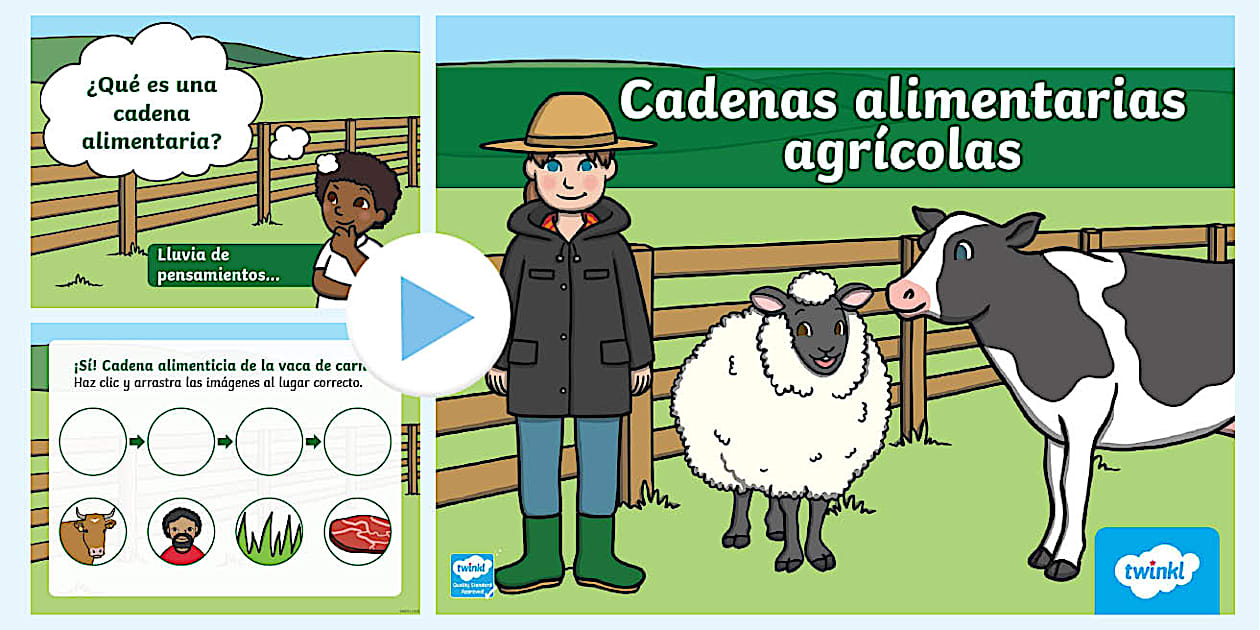 PowerPoint: cadenas alimentarias agrícolas - Twinkl