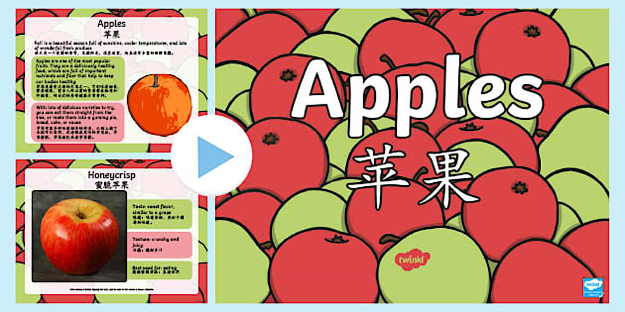 Apples PowerPoint - English/Mandarin Chinese (Teacher-Made)