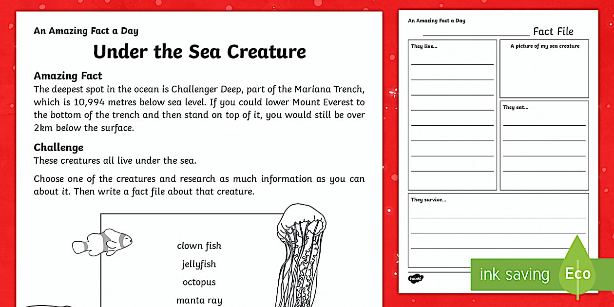 Under the Sea Creature Worksheet / Worksheet (teacher made)
