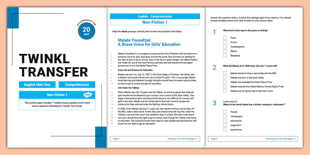 Transfer Mini-Test: Comprehension (Non-Fiction1) - Twinkl