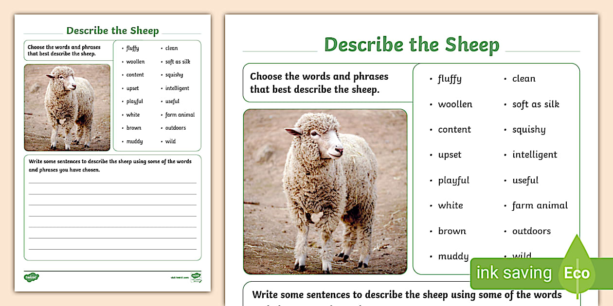 Describe the Sheep Worksheet (teacher made) - Twinkl