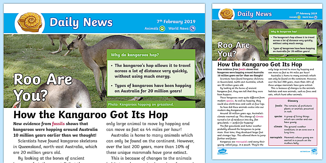 LKS2 Kangaroo Evolution Daily News Story (teacher made)