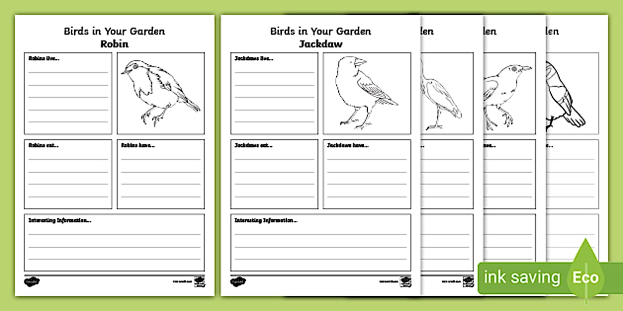 Editable Birds Fact File Worksheets - Twinkl Primary Resources