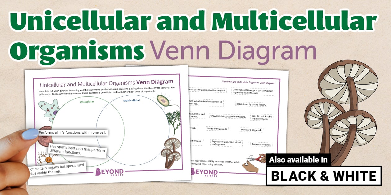Unicellular & Multicellular Organisms Venn Diagram