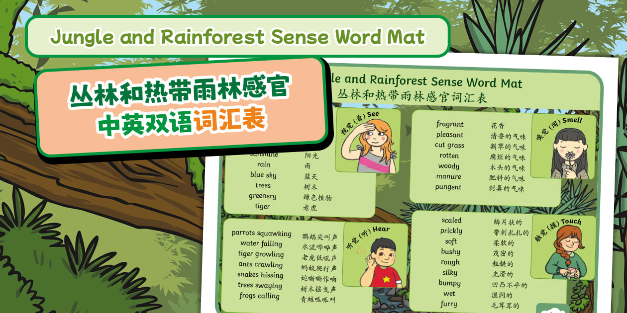 Jungle and Rainforest Sense Word Mat English Mandarin Chinese