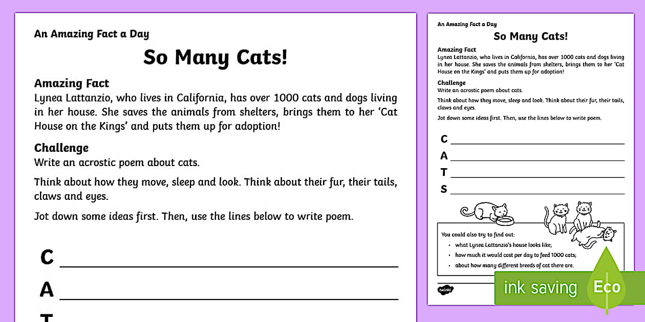 So Many Cats! Acrostic Poem Worksheet / Worksheet - Twinkl