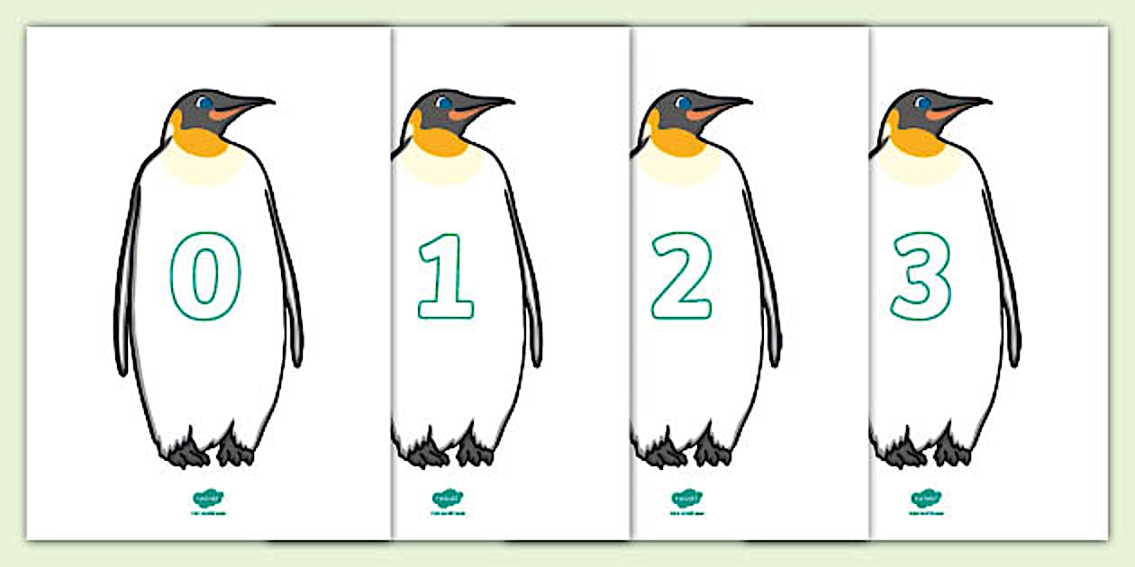 Numbers 0-30 on Penguins (teacher made) - Twinkl