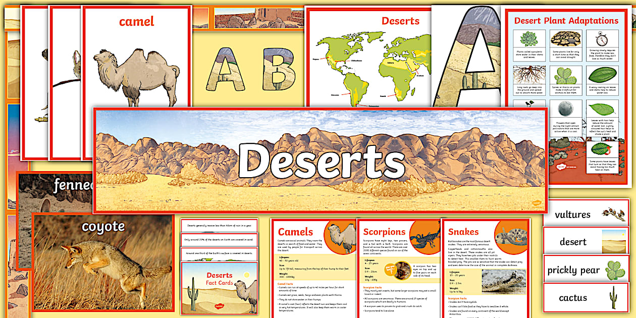 Deserts of the World Classroom Display Pack (teacher made)