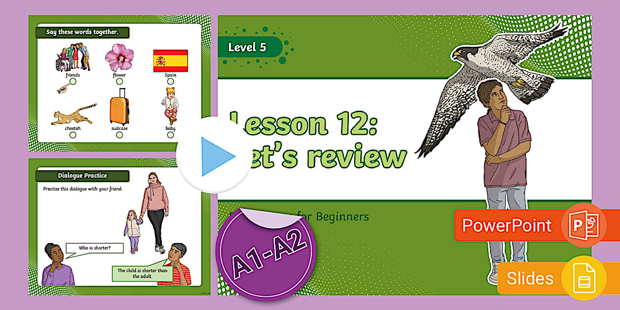 ESL Curriculum: Level 5, Lesson 12 (creat de profesori)