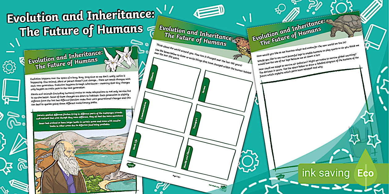 Evolution and Inheritance: The Future of Humans - Twinkl