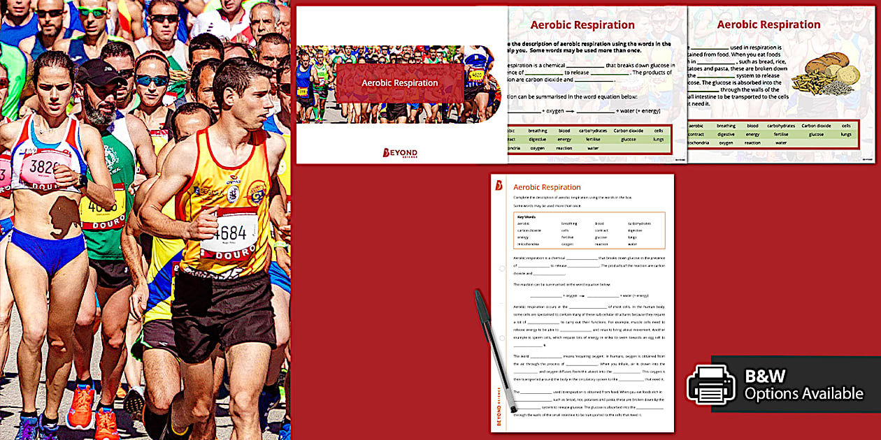 Aerobic Respiration Gap-Fill Resource Pack | Science |Beyond