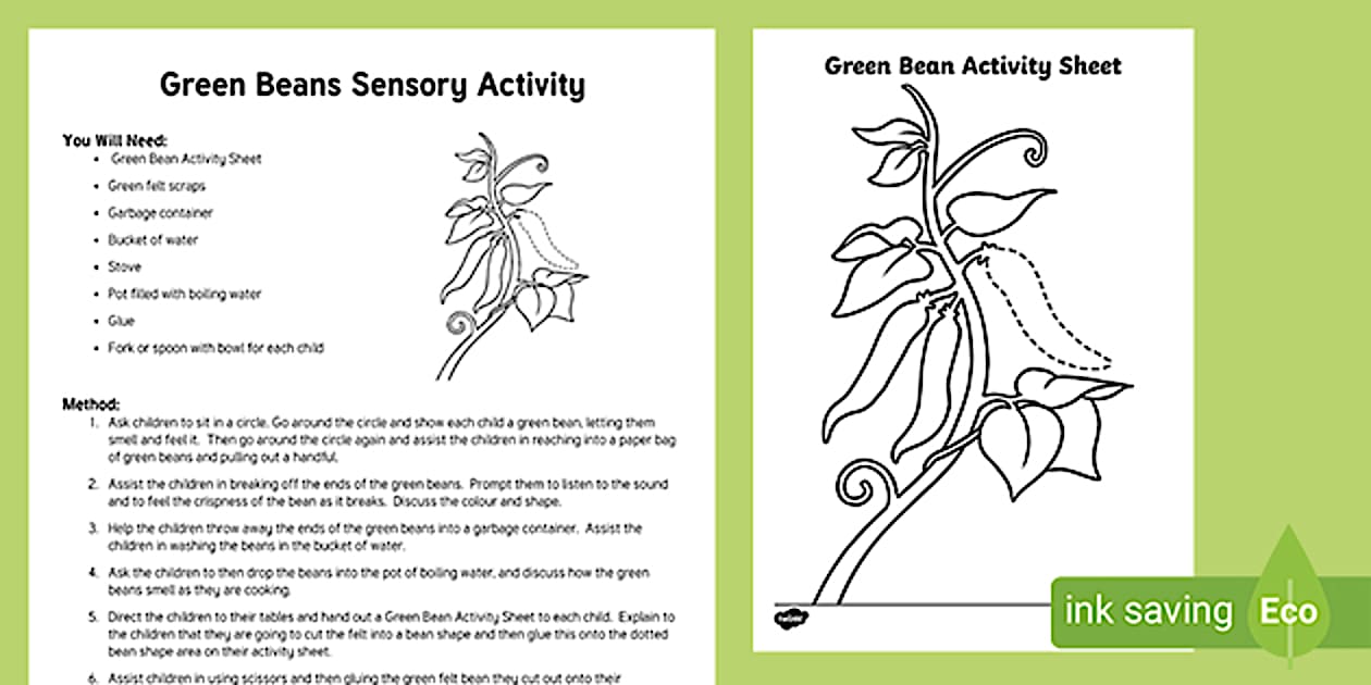Green Beans Sensory Activity (Teacher-Made) - Twinkl