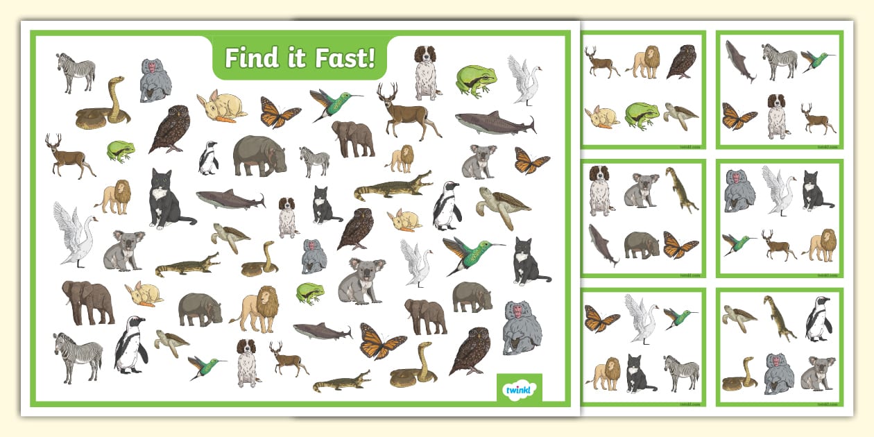 Printable Spot It 'Find It Fast!' Game | Twinkl
