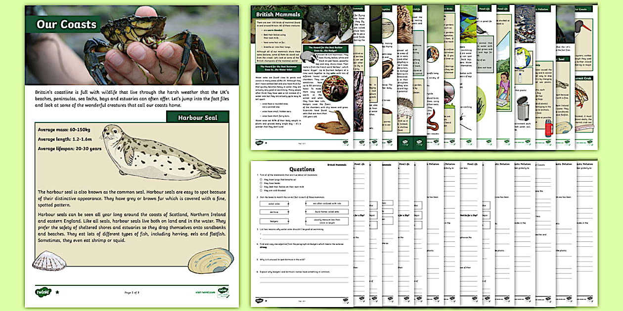 KS2 British Wildlife and their Habitats Differentiated Reading ...