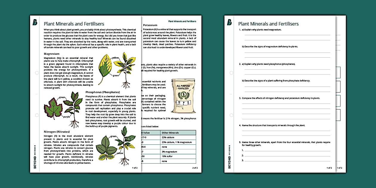 Plant Minerals and Fertilisers Reading Comprehension