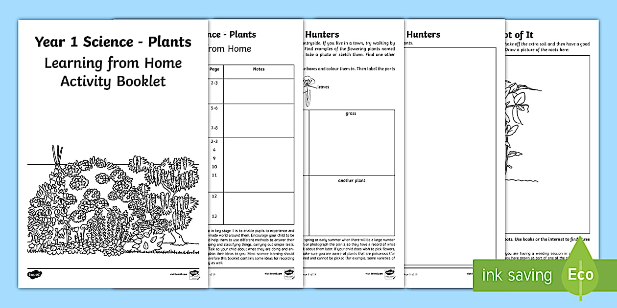 Science: Plants Activity Booklet (Ages 5-6) (teacher made)