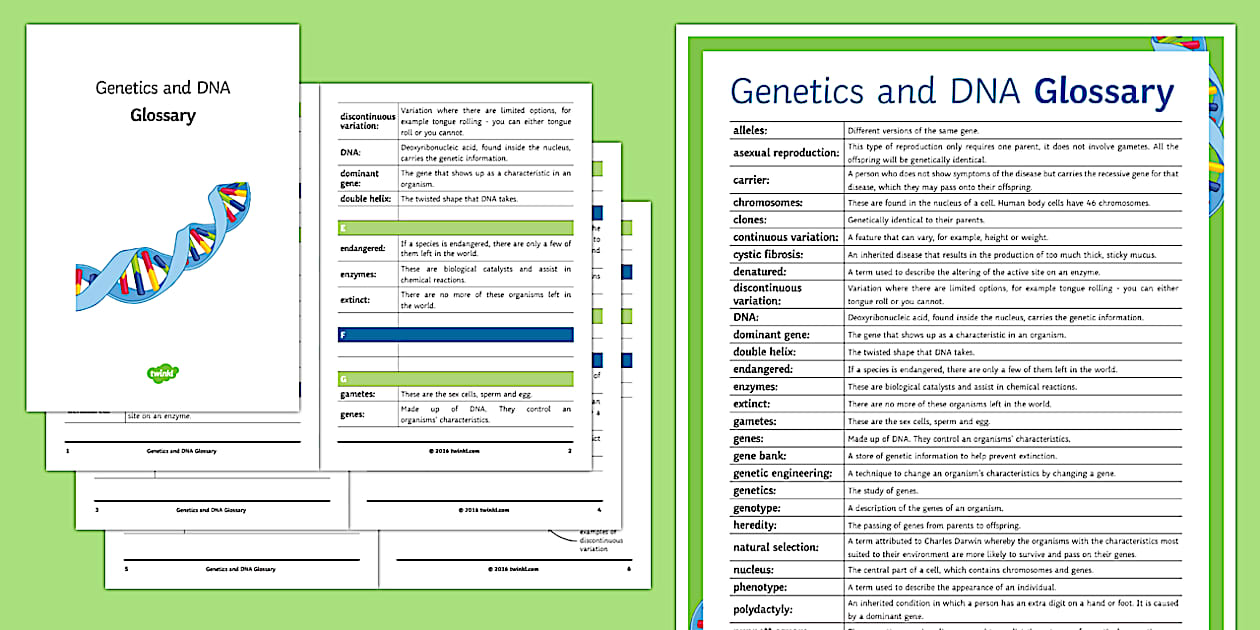 Genetics Glossary | KS3 Biology | Beyond Secondary - Twinkl