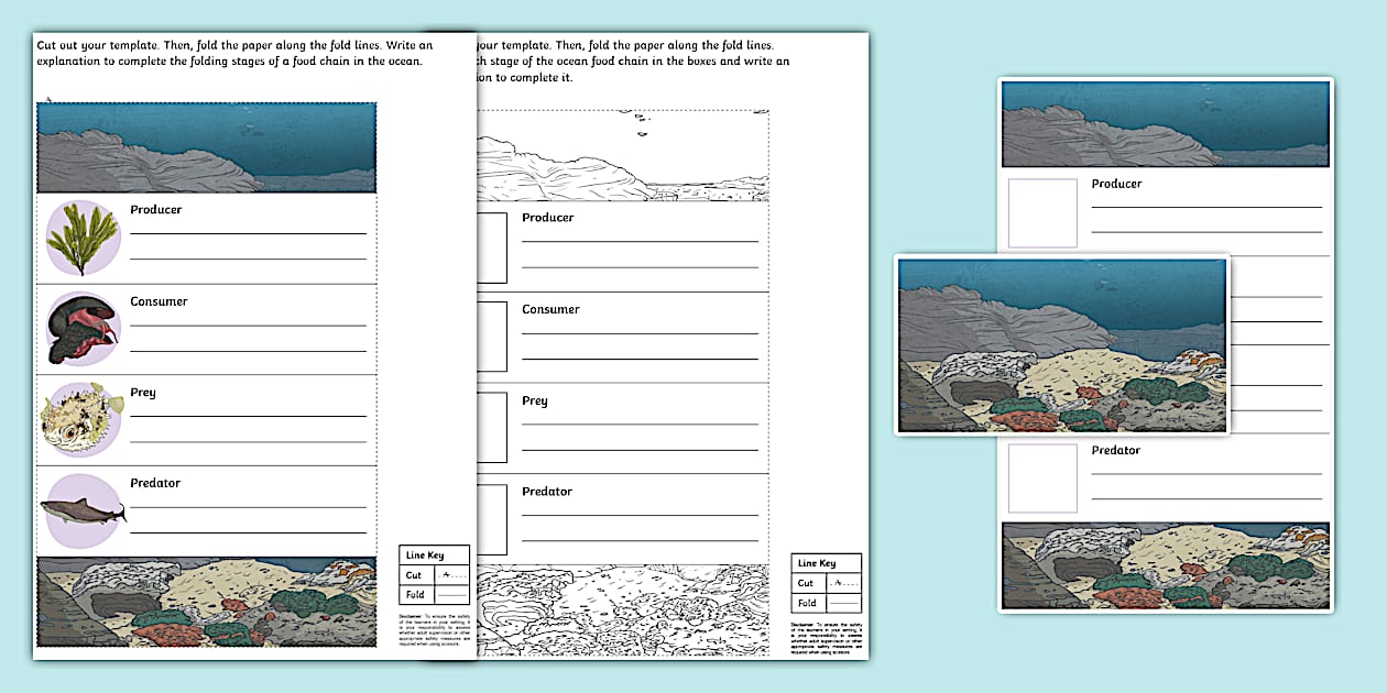 Folding Ocean Food Chain Template (teacher made) - Twinkl