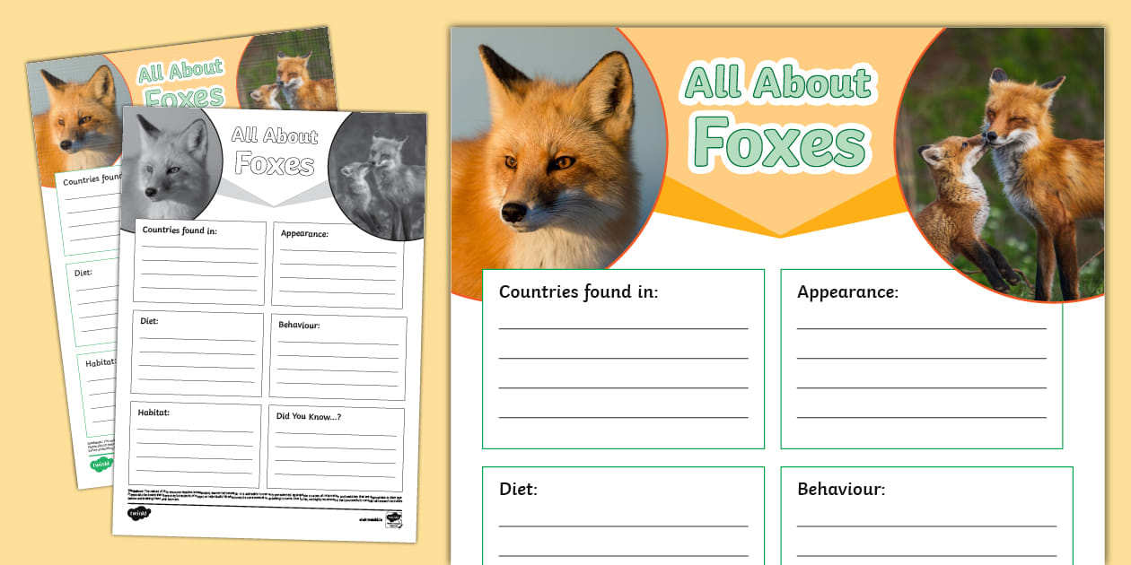 All About Foxes Fact File Template (teacher made) - Twinkl