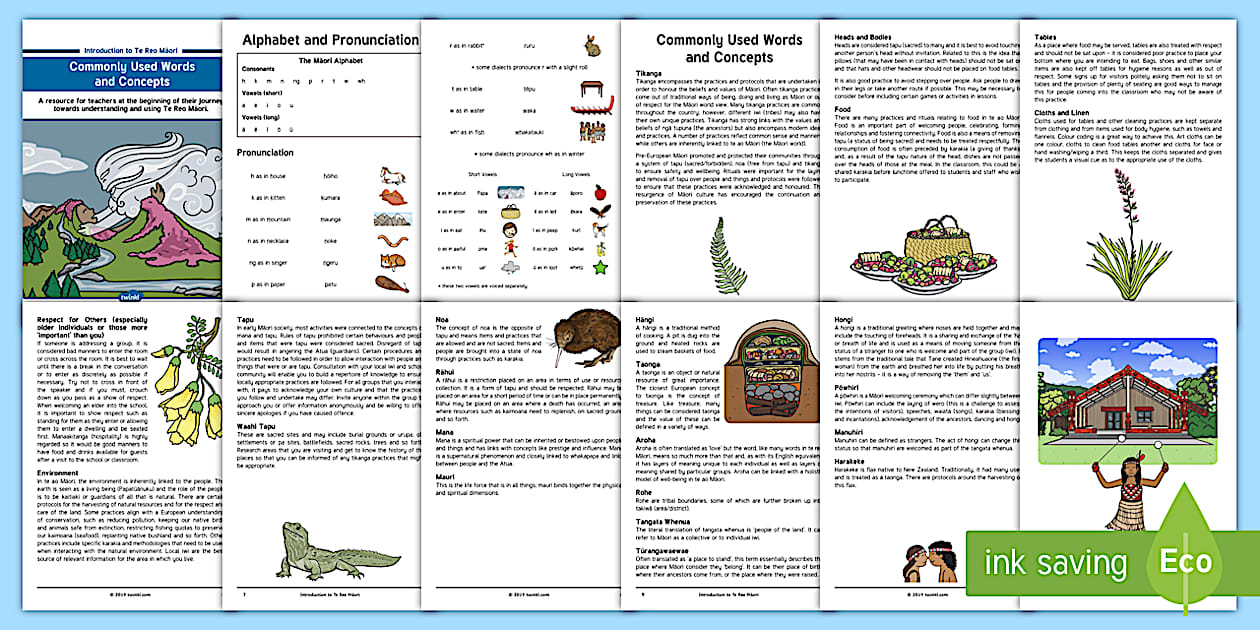 Introduction to Te Reo Māori: Commonly Used Words and Concepts Booklet