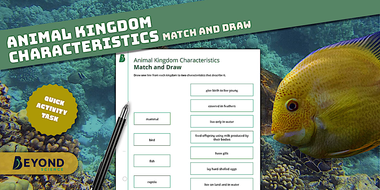 Animal Kingdom Characteristics Match and Draw