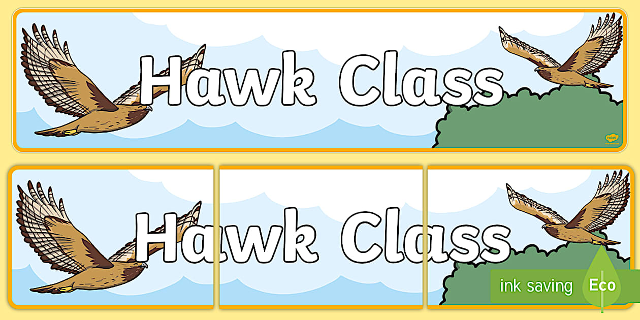 👉 Hawk Class Display Banner - Falcon Class Display Banner