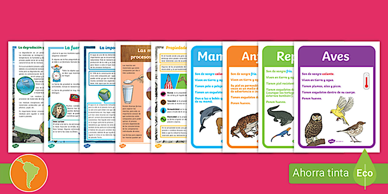 Paquete de actividades: Ciencias (teacher made) - Twinkl