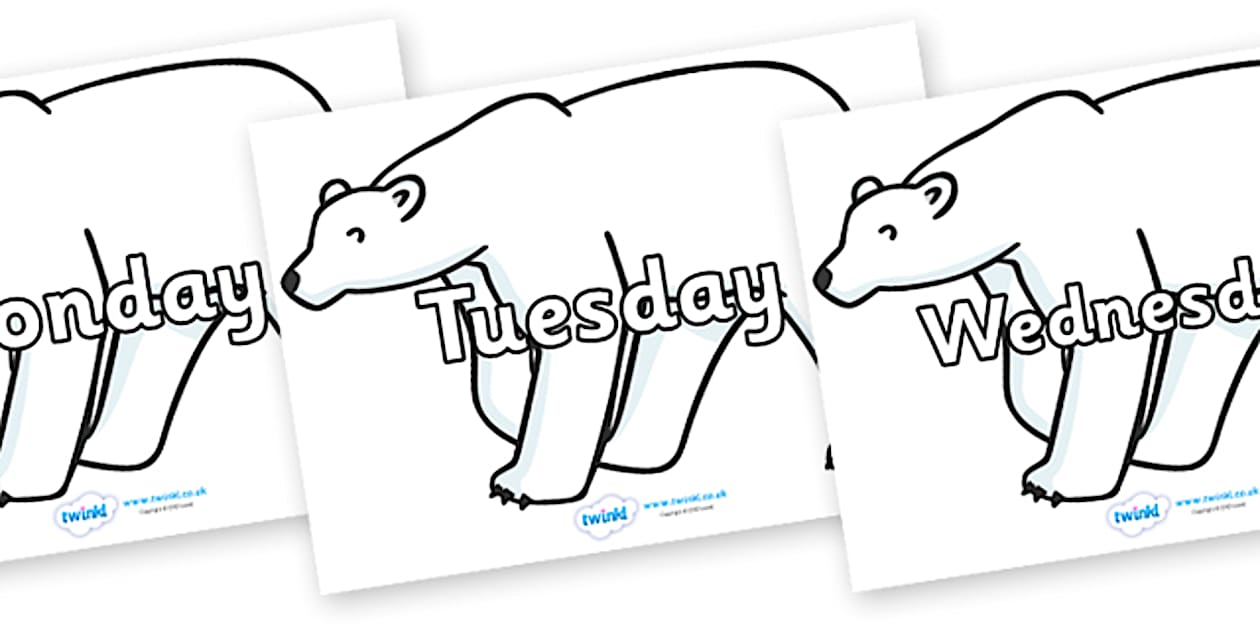 Days of the Week on Polar Bears (teacher made) - Twinkl