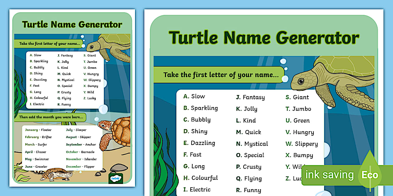 Turtle Name Generator Display Poster (teacher made) - Twinkl