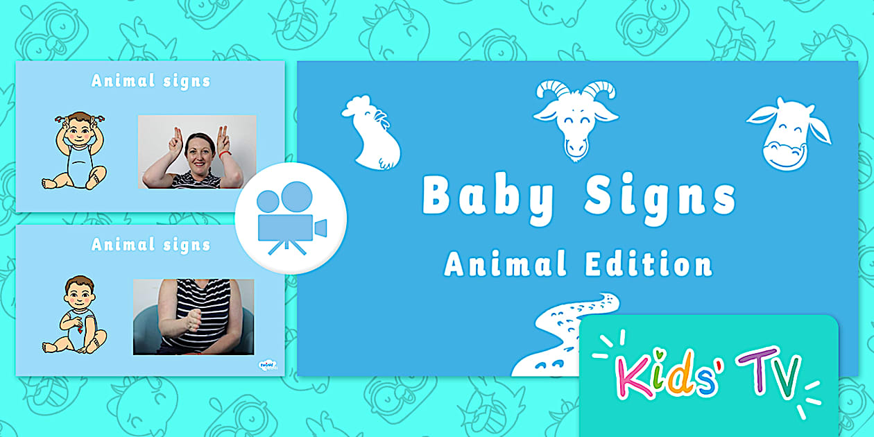 Learn BSL: Baby Sign - Animals (teacher made) - Twinkl