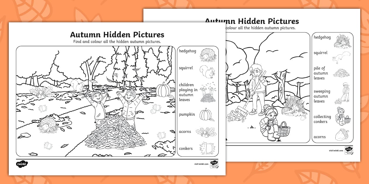 Autumn Hidden Pictures Activity | Twinkl | Autumn | EYFS