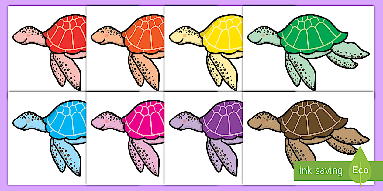 Turtles Colour Sorting Activity - Days of the Week on Turtles