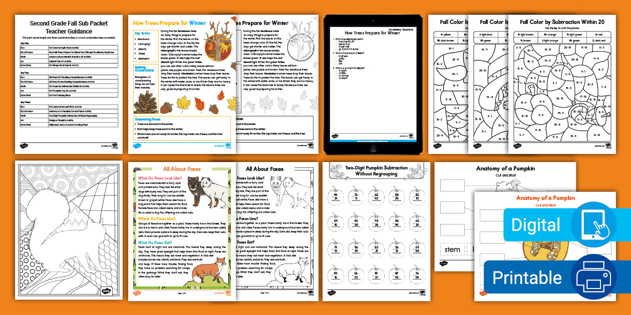 Second Grade Fall Sub Pack (teacher made) - Twinkl