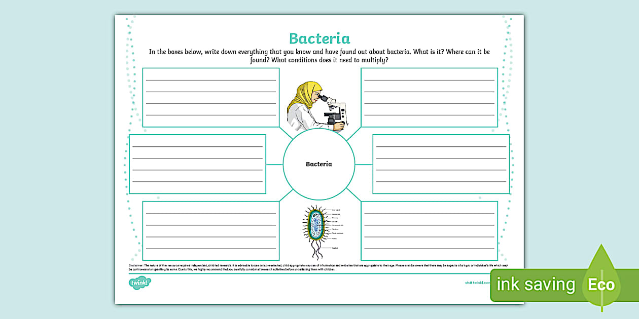 Bacteria Mind Map (teacher made) - Twinkl