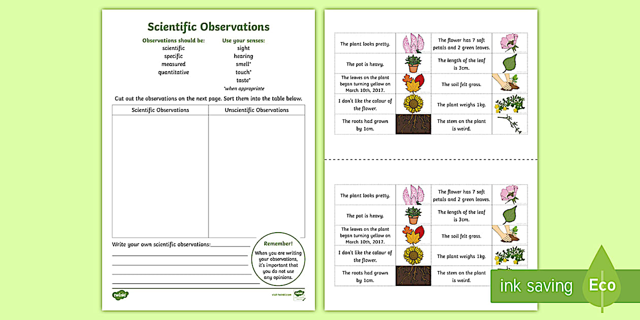 VIC Scientific Observations Sorting Worksheet - Twinkl