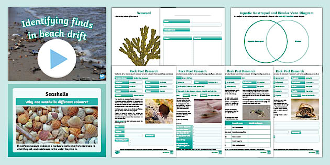 Oceans Exploration Pack - Home Education | Twinkl - Twinkl